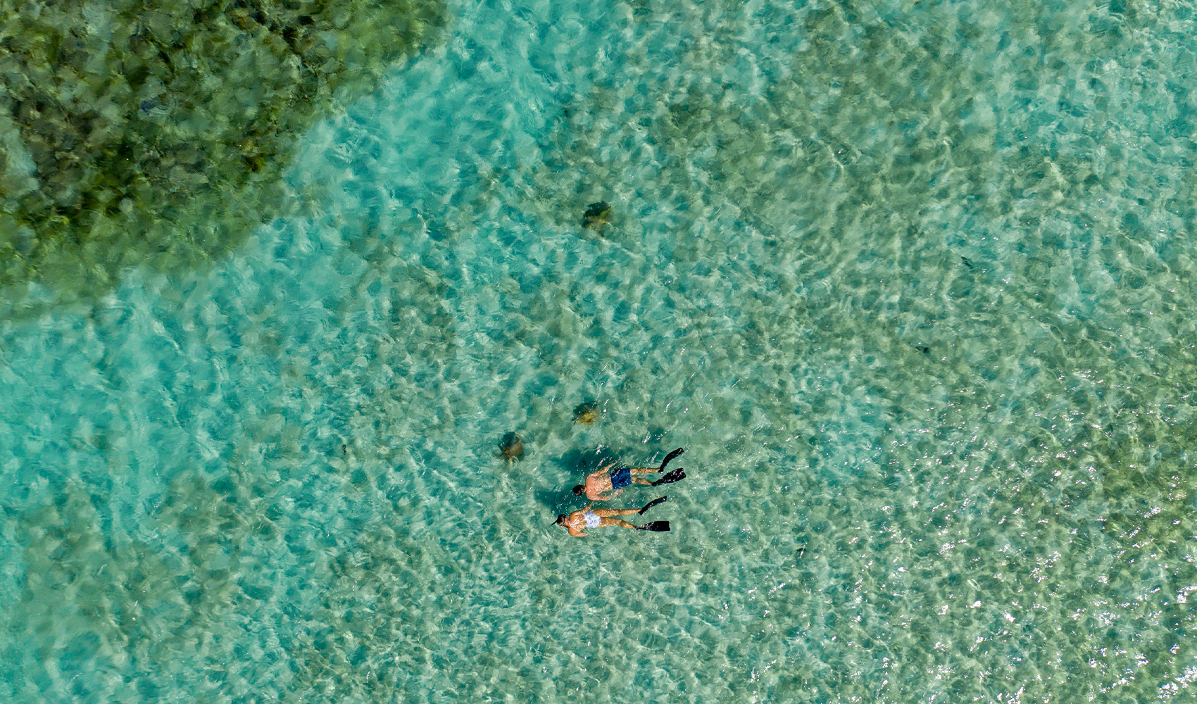 Local Snorkel Tours - Lizard Island Resort