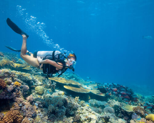 Activities & Experiences - Lizard Island Resort